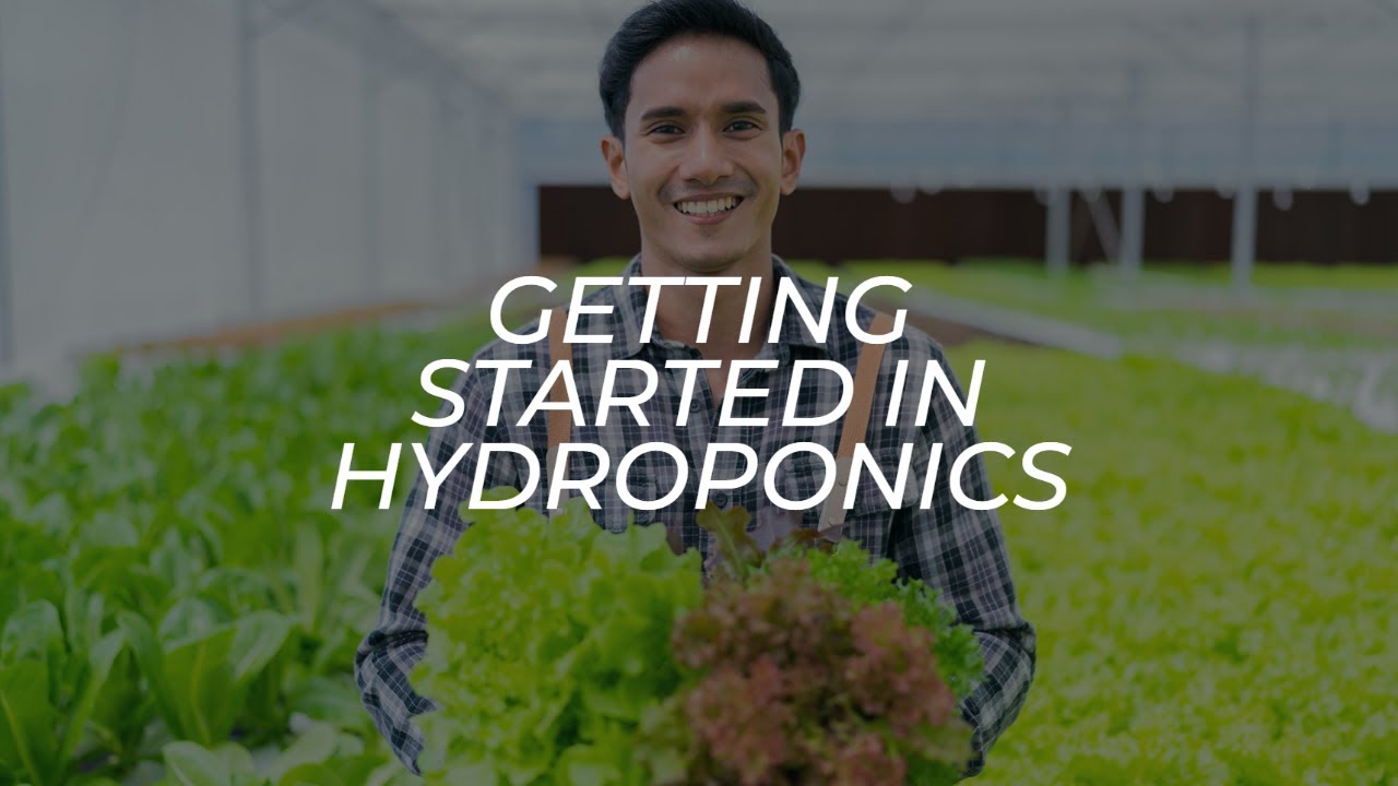 Getting Started In Hydroponics: Expert Tips, Plans & Secrets - BakerBooks